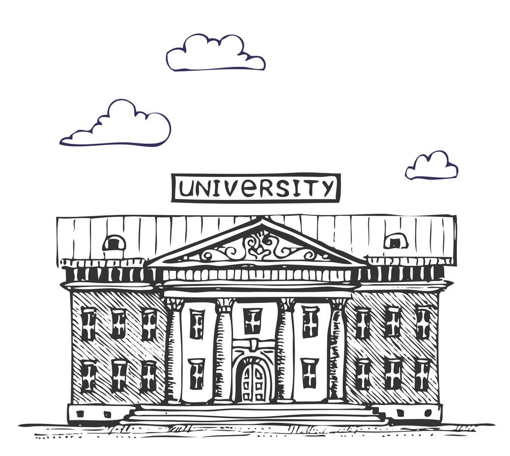 Bassem Zaki - Resume